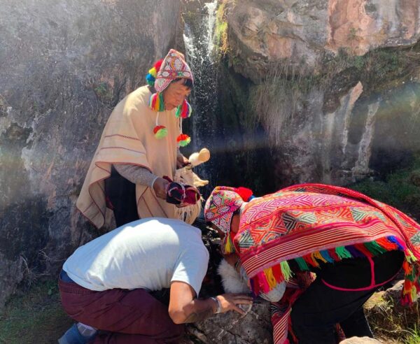 Cacao Ceremony - Peru Shamans - Inca Shamanic Wisdom