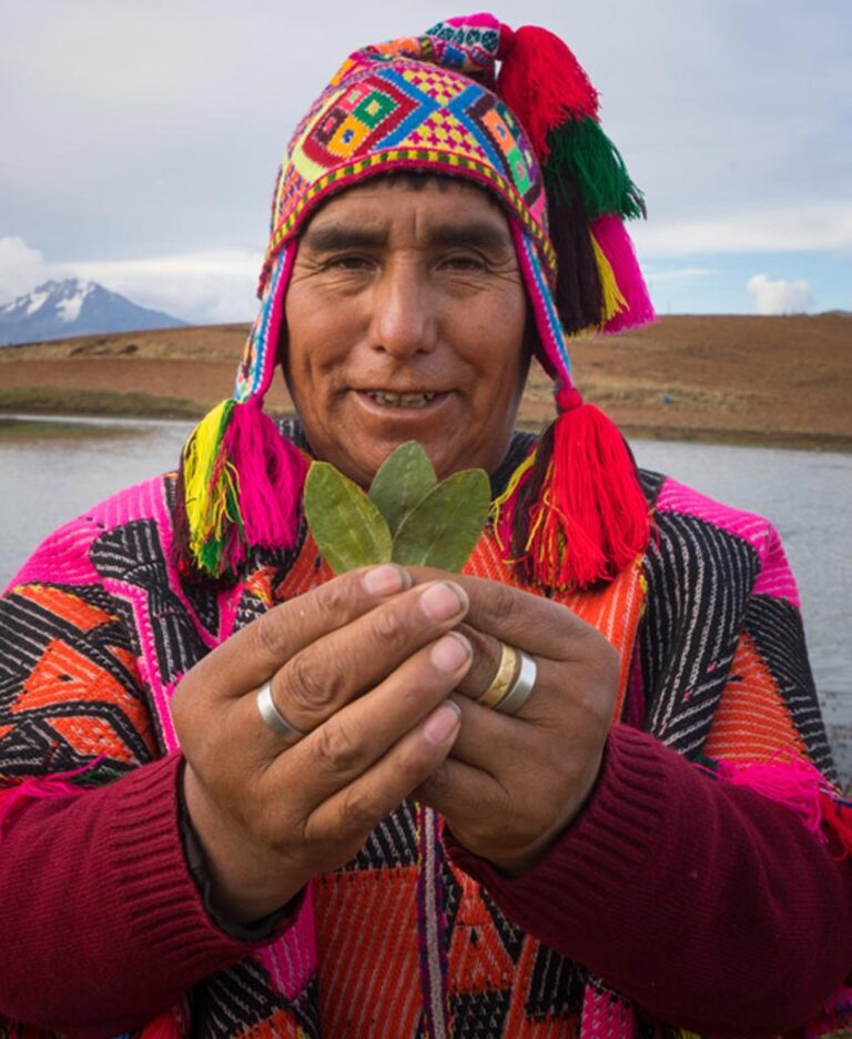 Peru Shamans - Ayahuasca Retreats - Sacred Retreats